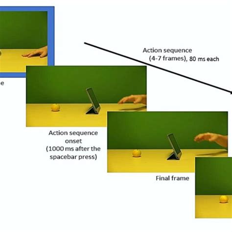 Illustration Of The Trial Sequence In Experiment 3 Participants Saw A