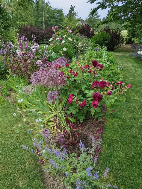 Whatcom County Garden Tour To Feature Three Semiahmoo Gardens The