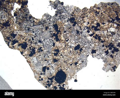 Micrograph Of Eet 96288 2 Meteorite Under Plane Polarized Light At 1 25x Magnification Stock
