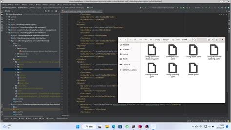 The Assembly Configuration Of Shardingsphere Proxy Contains `logbackxml` Which Does Not Exist