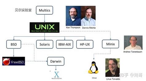 Linux你入了吗linux概述、文件系统、vim编辑器 知乎