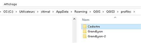 Bug Profile Deployment Is Not Achieved Properly When The Profile