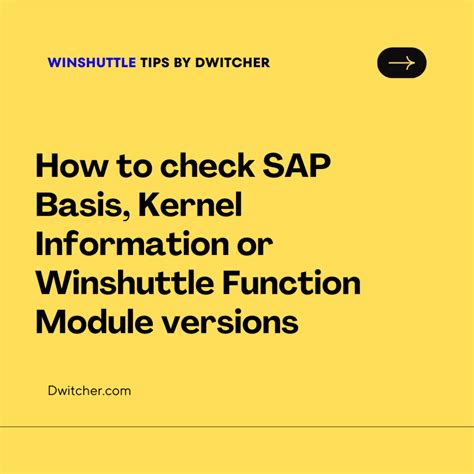 Check Sap Basis Kernel Information Or Winshuttle Function Module