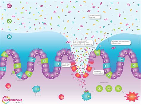 Microbiome Labs | Microbiome Labs