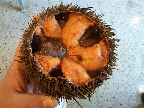 Sabores De Chile