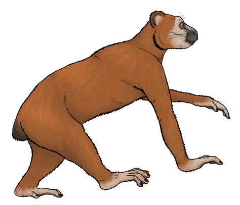 Mesopropithecus Prehistoria Fandom Fandom