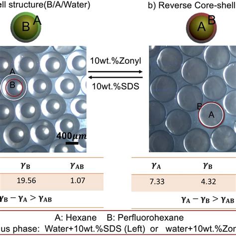 The Transformation Process Between Core Shell Structure And The Reverse Download Scientific
