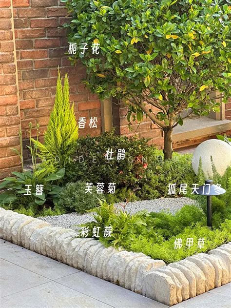 现代自然风格庭院植物搭配分享⭐。丰富又特别的自然风植物配置 抖音 花瓣网