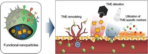 Epr Effect Special Issue
