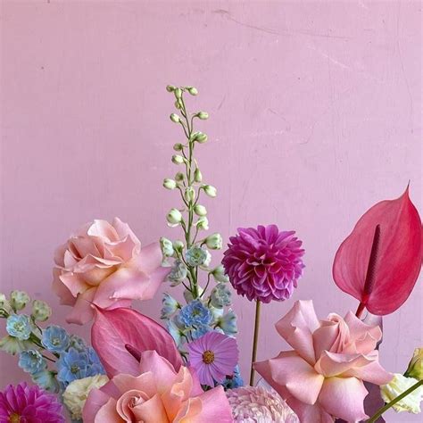 Sonny And Willow Perth Florist On Instagram This Weeks Delivery Days