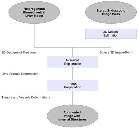 Computational Flow Of The Method Download Scientific Diagram