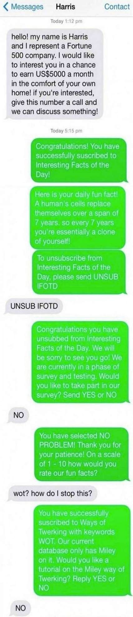 Trendy Funny Texts Inappropriate Hilarious Life Ideas Funny Texts
