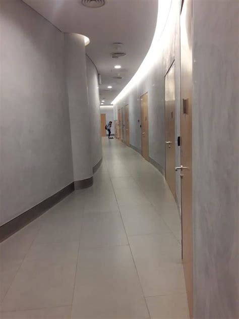 Stonex Lime Plaster 8446055919 In Pune