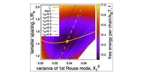 Dynamics Of Nonequilibrium Single Chain Conformations In Triblock Copolymers Macromolecules