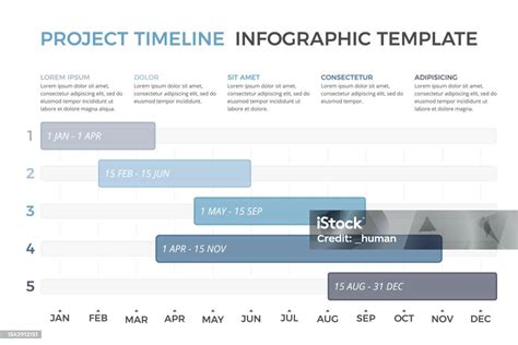 프로젝트 타임라인 Gantt 차트 타임라인에 대한 스톡 벡터 아트 및 기타 이미지 타임라인 차트 갠트 차트 Istock