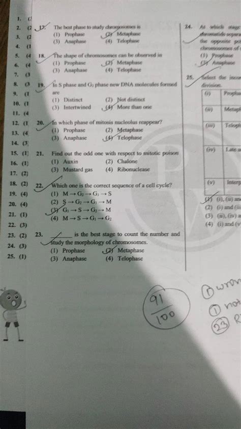 2 22 which one is the correct sequence of a cell cycle 19 4 filo