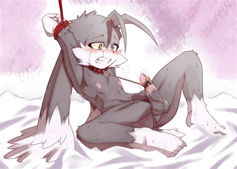 Post 551304 Klonoa Klonoaseries Syourinbonzu