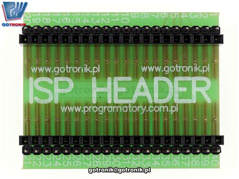Isp Header 40 Pin Złącze Do Programownia Isp Header 40 Pin Złącze Do Programownia