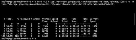 temiloluwa ogundeji on linkedin kubernetes end to end project on eks eks install and app