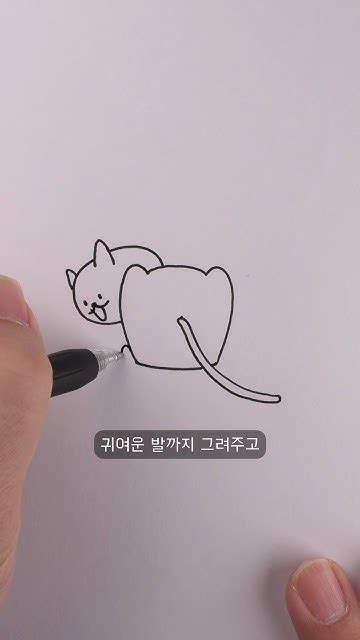 고양이 식빵 자세를 귀엽게 그려보자 그림그리기 고양이그램 그림 드로잉 일러스트 귀여운고양이 Youtube