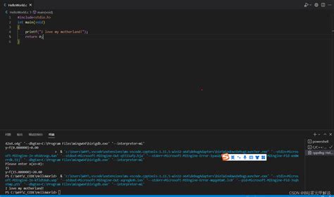 练习使用printf函数 Csdn博客