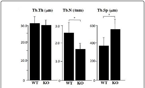 D Bone Histomorphometry In Secondary Cancellous Bone Area Of Ko Mice Download Scientific