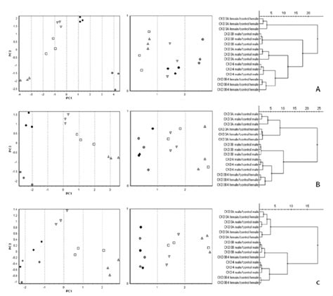 Multivariate Analysis Grey Circle CKD 3A Female Ratios Black Circle Download Scientific