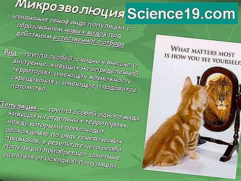 Микроеволюция срещу макроеволюция сходства и различия 💫 Научно Популярен Мултимедиен Портал 2025