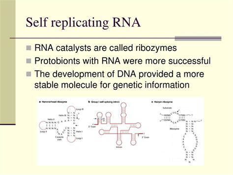Ppt The History Of Life On Earth Powerpoint Presentation Free Download Id 5321763