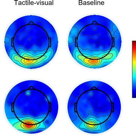 Topographic Maps Of Signal To Noise Ratio Snr At 7 5 Hz Across Age