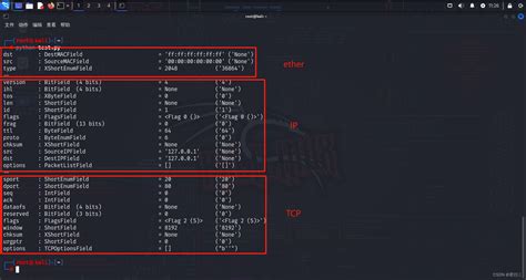 python渗透测试——一、数据包的编辑工具——scapy csdn博客