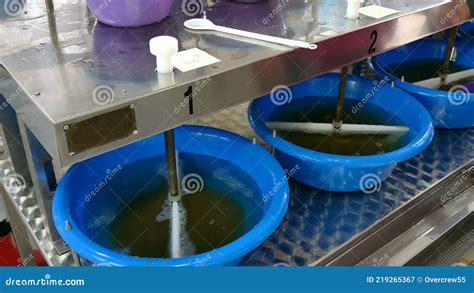 Artificial Spawning Grounds Stock Video Video Of Farm Bottle 219265367