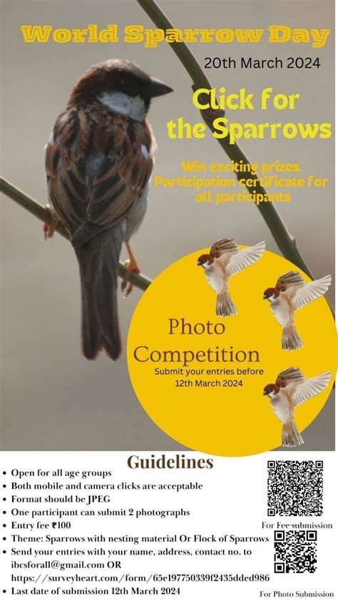 Dr Ashwini Kumar Sinha On Linkedin We Must Celebrate World Sparrow Day