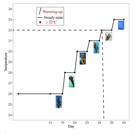 Different Temperature Treatments And Sampling Time Points Download