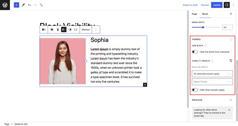 Conditional Blocks A Review Of The Block Visibility Plugin For