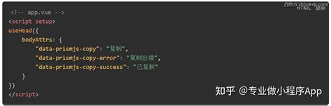 Prismjs插件在nuxt3中的使用 知乎