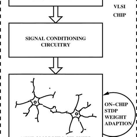 pdf analog vlsi circuit implementation of an adaptive neuromorphic