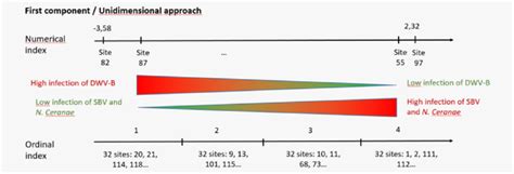 the numerical and ordinal synthetic indices calculated to summarise the