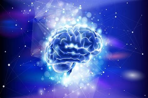 Adamax Vs Semax Key Differences And Benefits