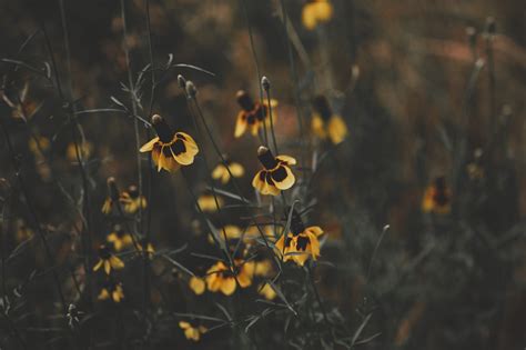 Photography 101 How To Get Out Of Auto Mode The Wandergraph