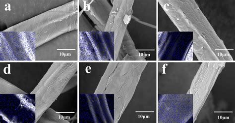 Sem Images And Eds Element Mappings Of Cscmp Fibers Treated By A Download Scientific Diagram