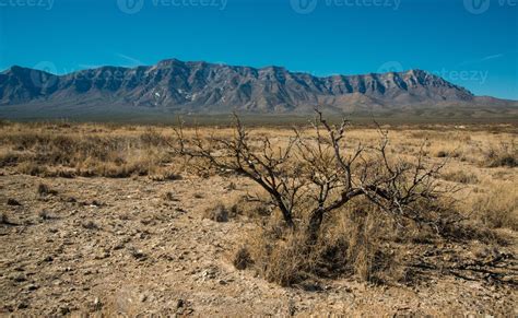 New Mexico Desert Landscape Gypsum Crystals Around A Dried Lucero Lake