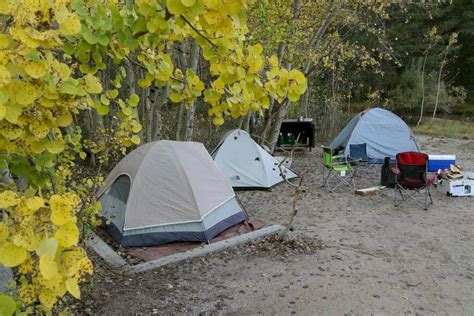 Four Jeffrey Campground In Inyo National Forest California Reviews