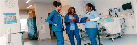 Majors And Programs Umass Boston