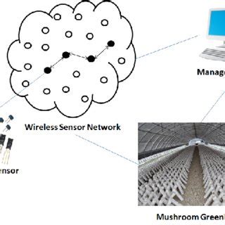 Structure Diagram Of Environment Download Scientific Diagram