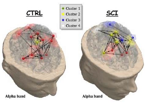 Graphical Representation Of The Identified Clusters Of Rois Within The