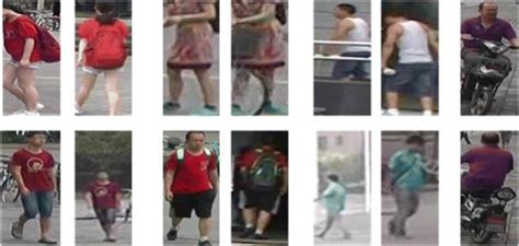 Research Difficulties In Pedestrian Re Identification Download Scientific Diagram