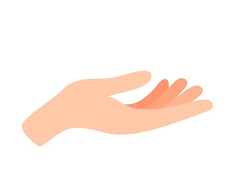 Facing Up Womans Hand Vector Illustration Isolated On White Background
