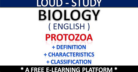 Protozoa Definition Characteristics And Classification