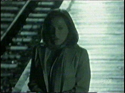 The X Filestrust No 1 Foxworld Wiki Fandom